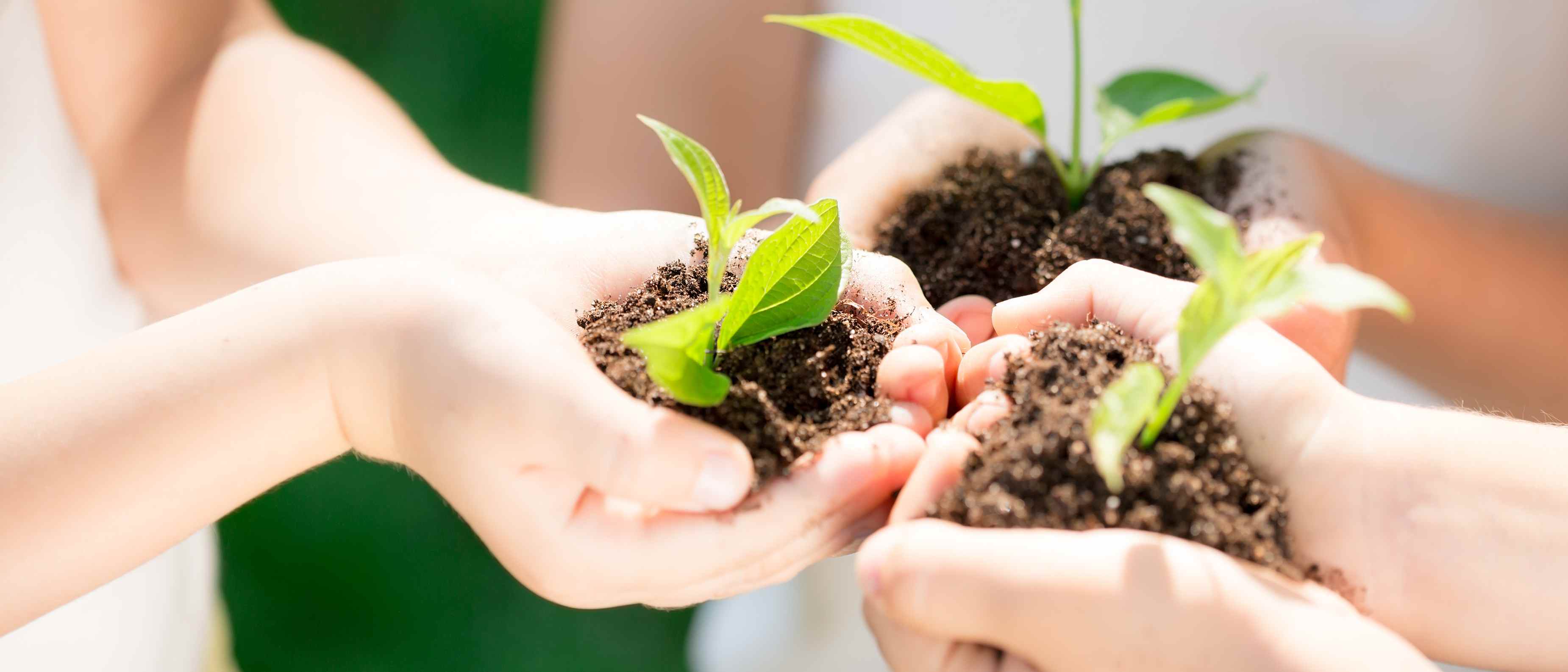 Earth Steward Program - Athens Services