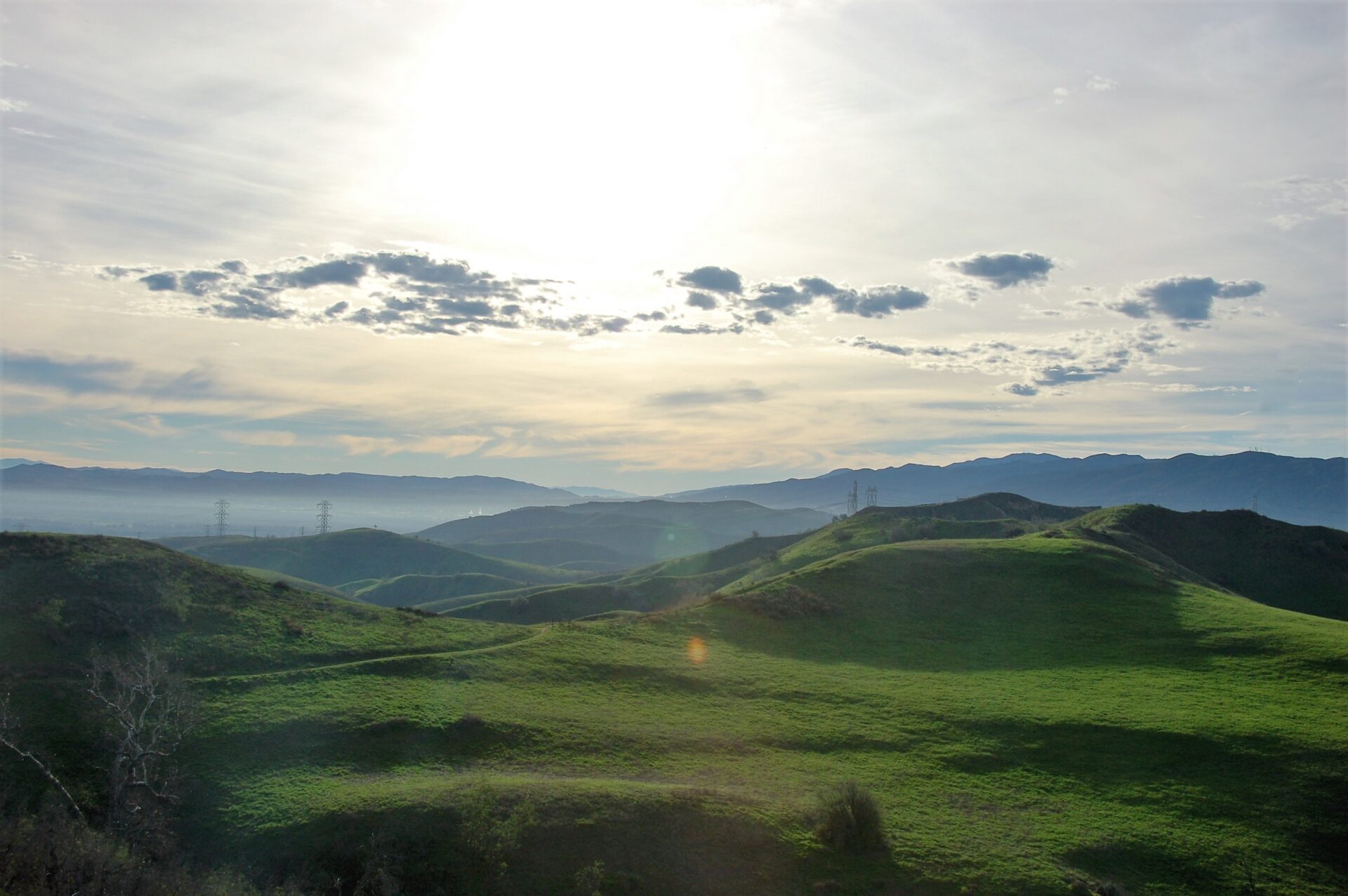 CalMet Services Joins Athens Services For Enhanced Waste Solutions ...